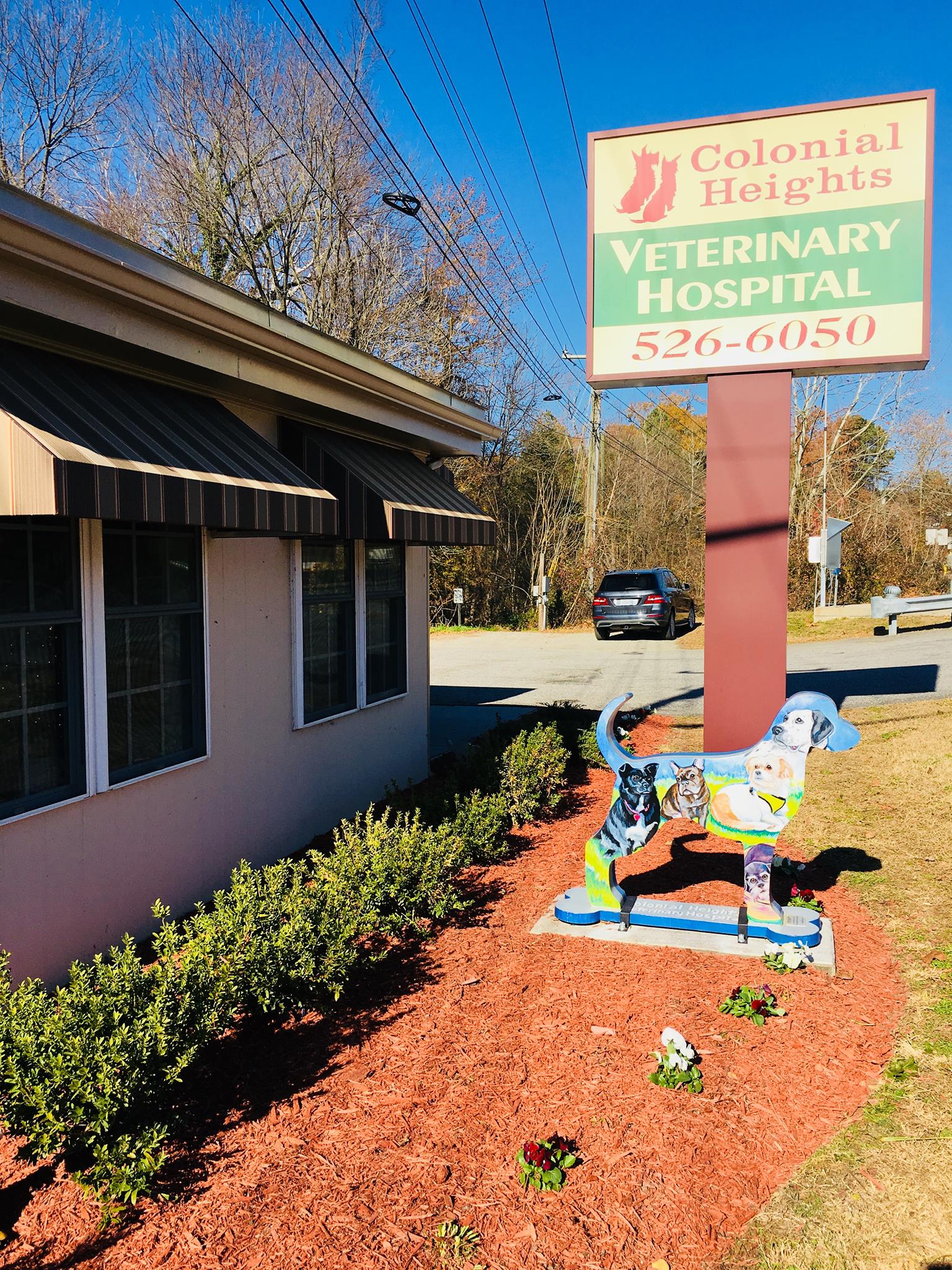 Veterinarian in Colonial Heights, VA | Colonial Heights Veterinary Hospital